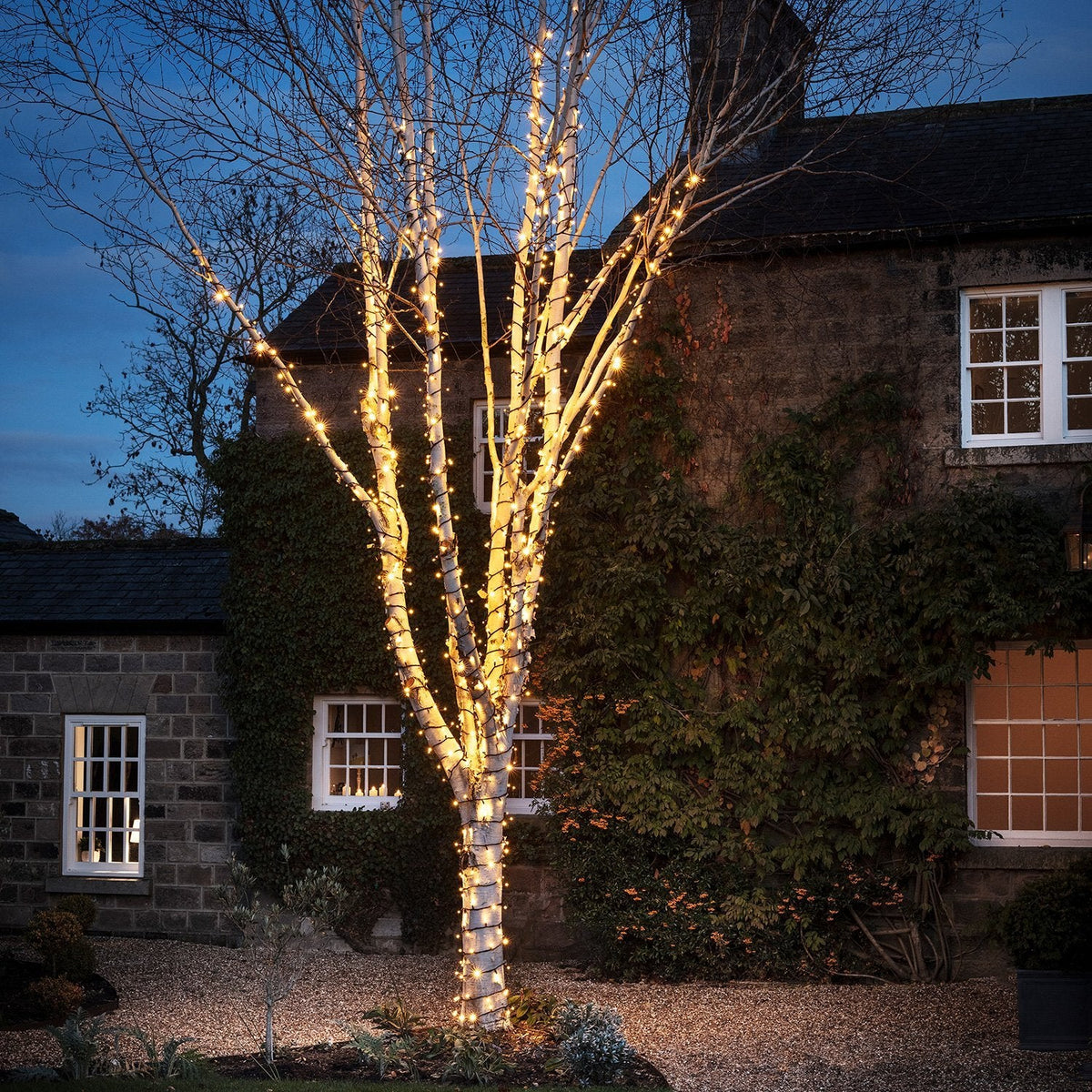Fairy Light Tree Kits – Love Your Lights