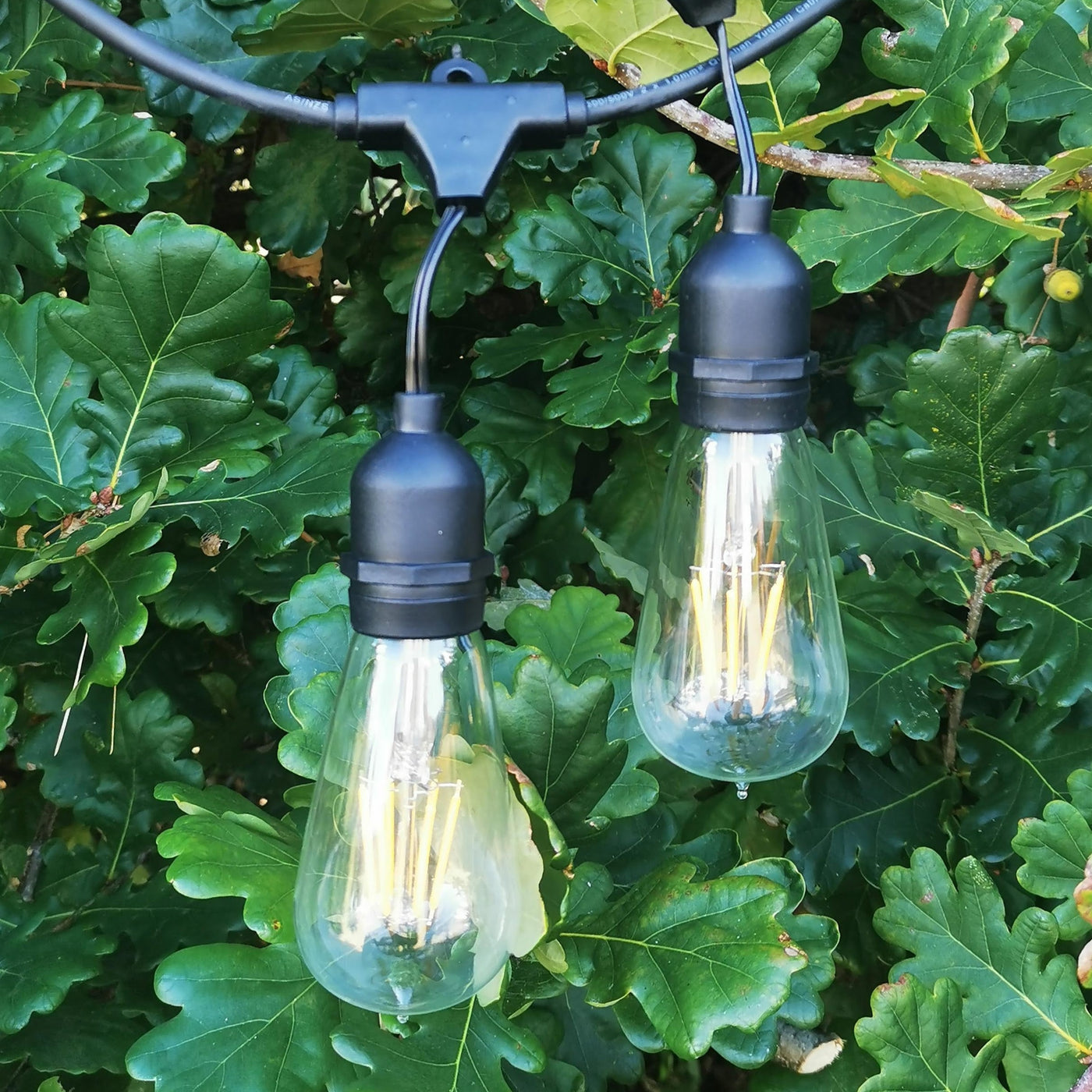 Dimmable Festoon Lights | 10m 10 Bulbs | ST58 5w Clear | Drop Hang